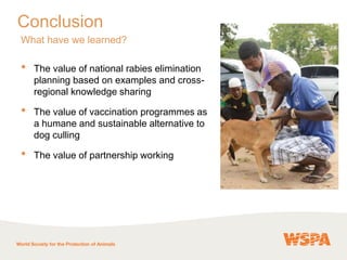 Canine Rabies Control: Progress Towards Integration | PPT