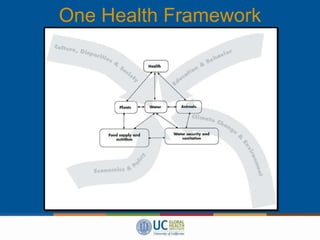 One Health Overview | PPT