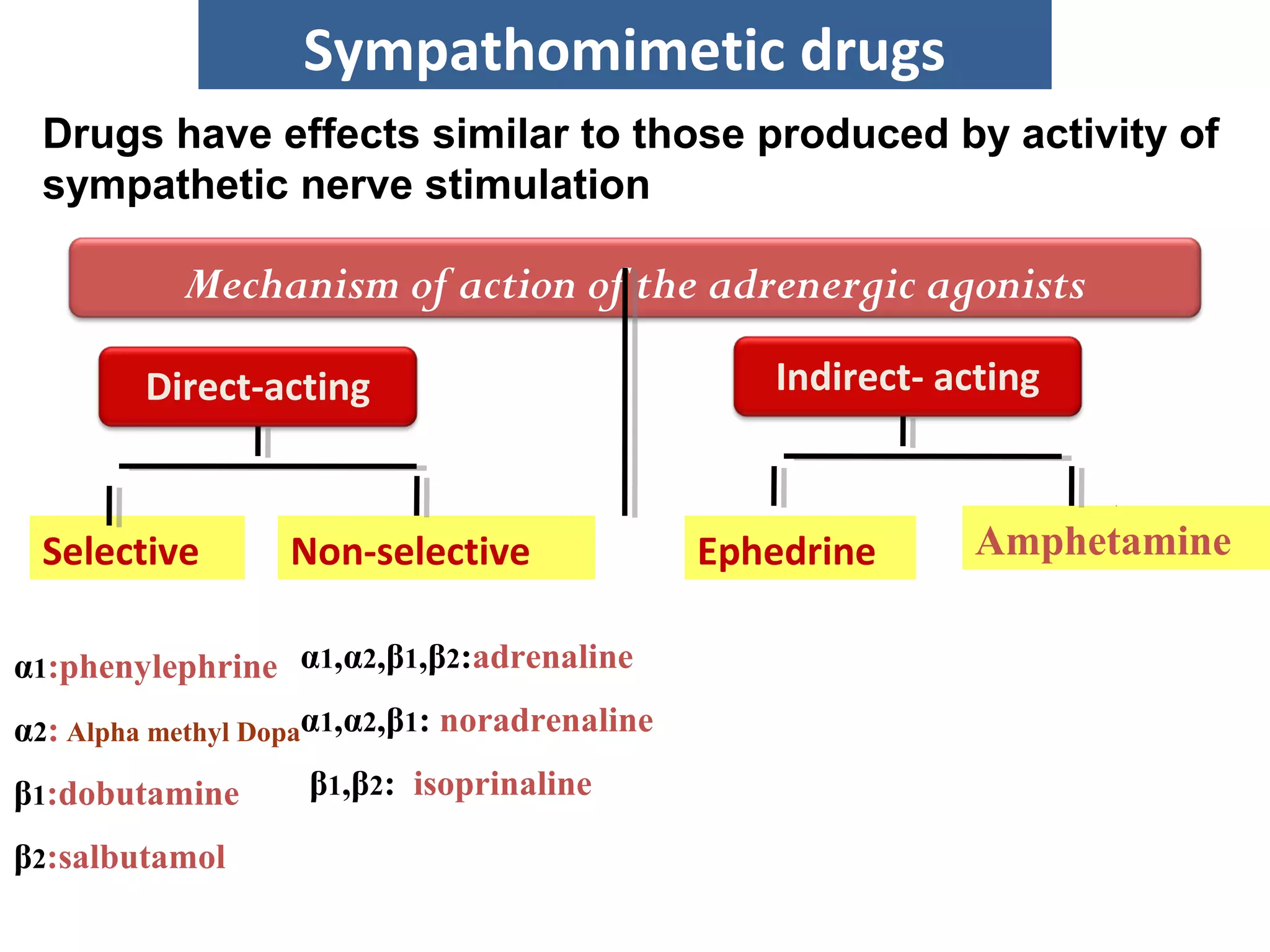 5. adrenergic drugs | PPT