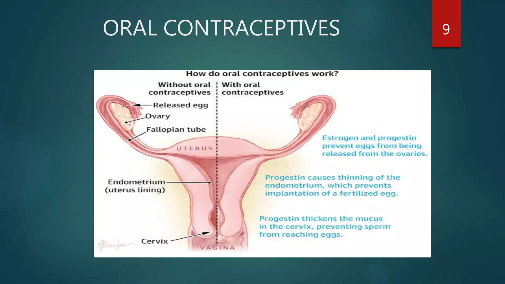 ORAL HYPOGLYCEMIC AGENTS AND ORAL CONTRACEPTIVES | PPTX