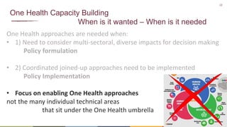 The application of One Health: Observations from eastern and southern ...