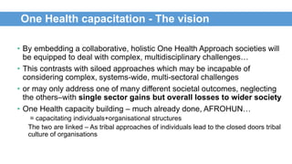 The application of One Health: Observations from eastern and southern Africa | PPTX