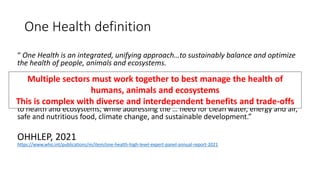 The application of One Health: Observations from eastern and southern ...