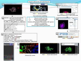 IB Chemistry on ICT, 3D software, Jmol, Rasmol and Pymol for Internal ...