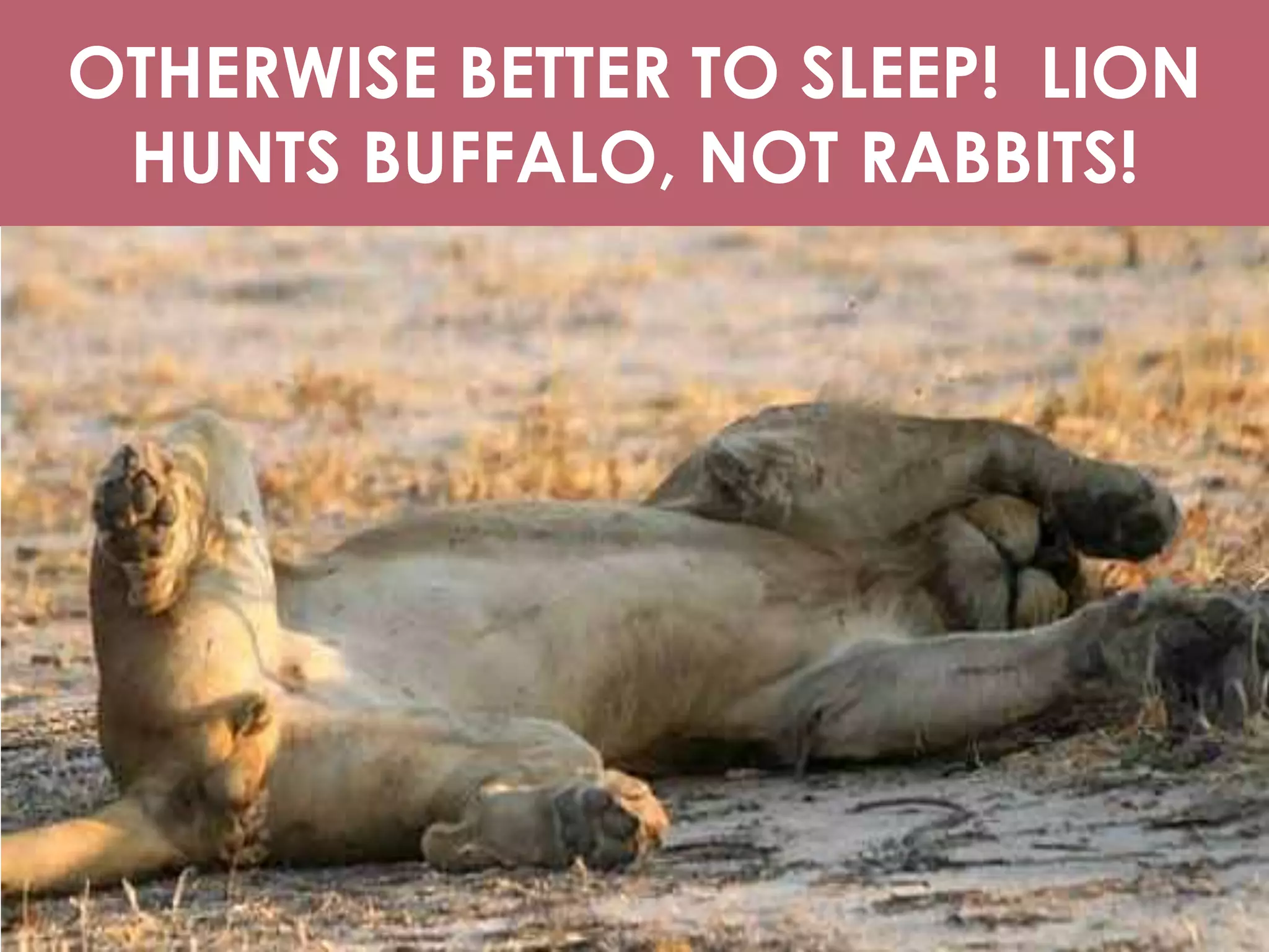 Of human domestication: economy | PPT