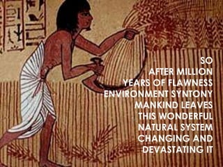 Of human domestication: evolutionary biology and the systems law | PPT