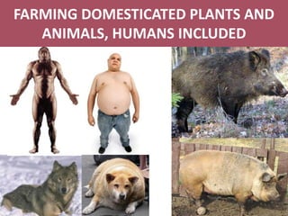 Of human domestication: evolutionary biology and the systems law | PPT