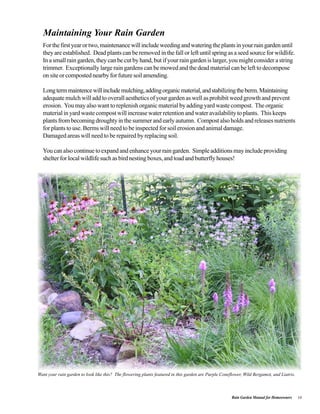 Ohio Rain Gardens for Homeowners | PDF