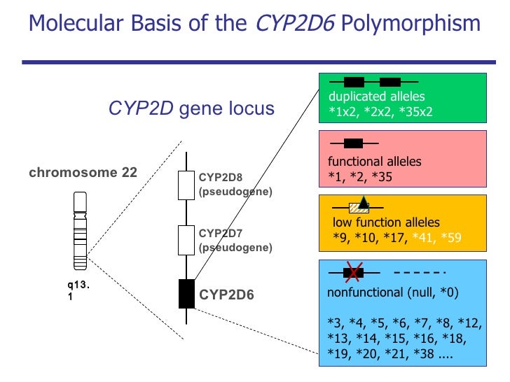 18.Cytochrome P450의 약물유전체학 CYP2C9 CYP2C19 시트크롬 P450 약물대사 : 네이버 블로그