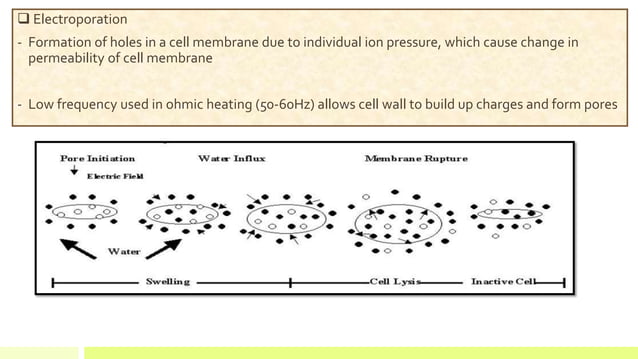Ohmic heating in food processing | PPTX | Physics | Science