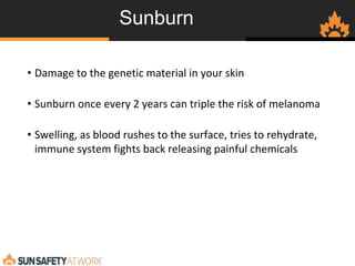 Sun Safety at Work Canada | PPT