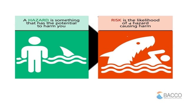 Occupational Health & Safety (OHS ) | PPTX | Human Resources | Business