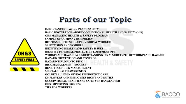 Occupational Health & Safety (OHS ) | PPTX | Human Resources | Business