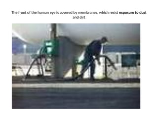 Occupational health safety on dust as a hazard | PPTX