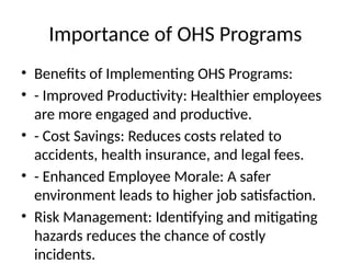 Occupational Health and Safety Programs Presentation.pptx