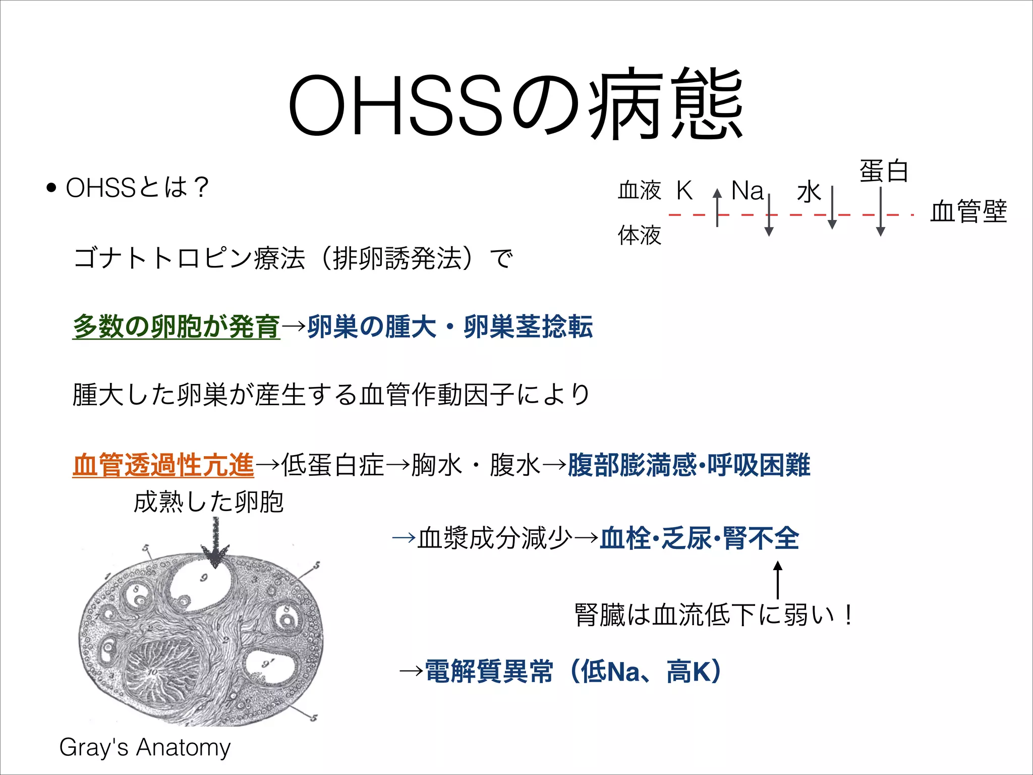 OHSS（卵胞刺激過剰症候群）の診断 | PDF