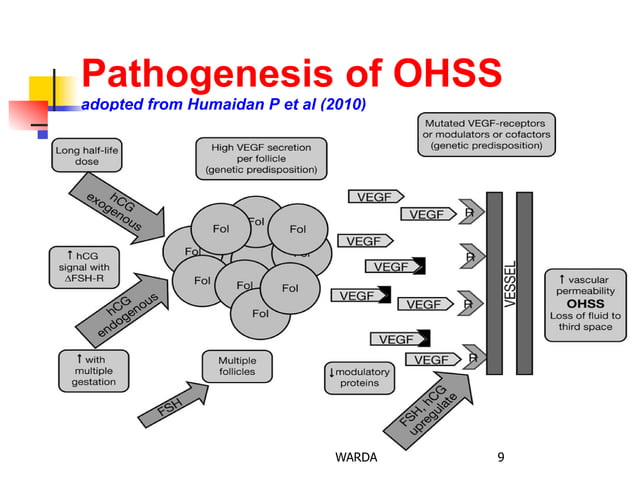 Ohss updated | PPT