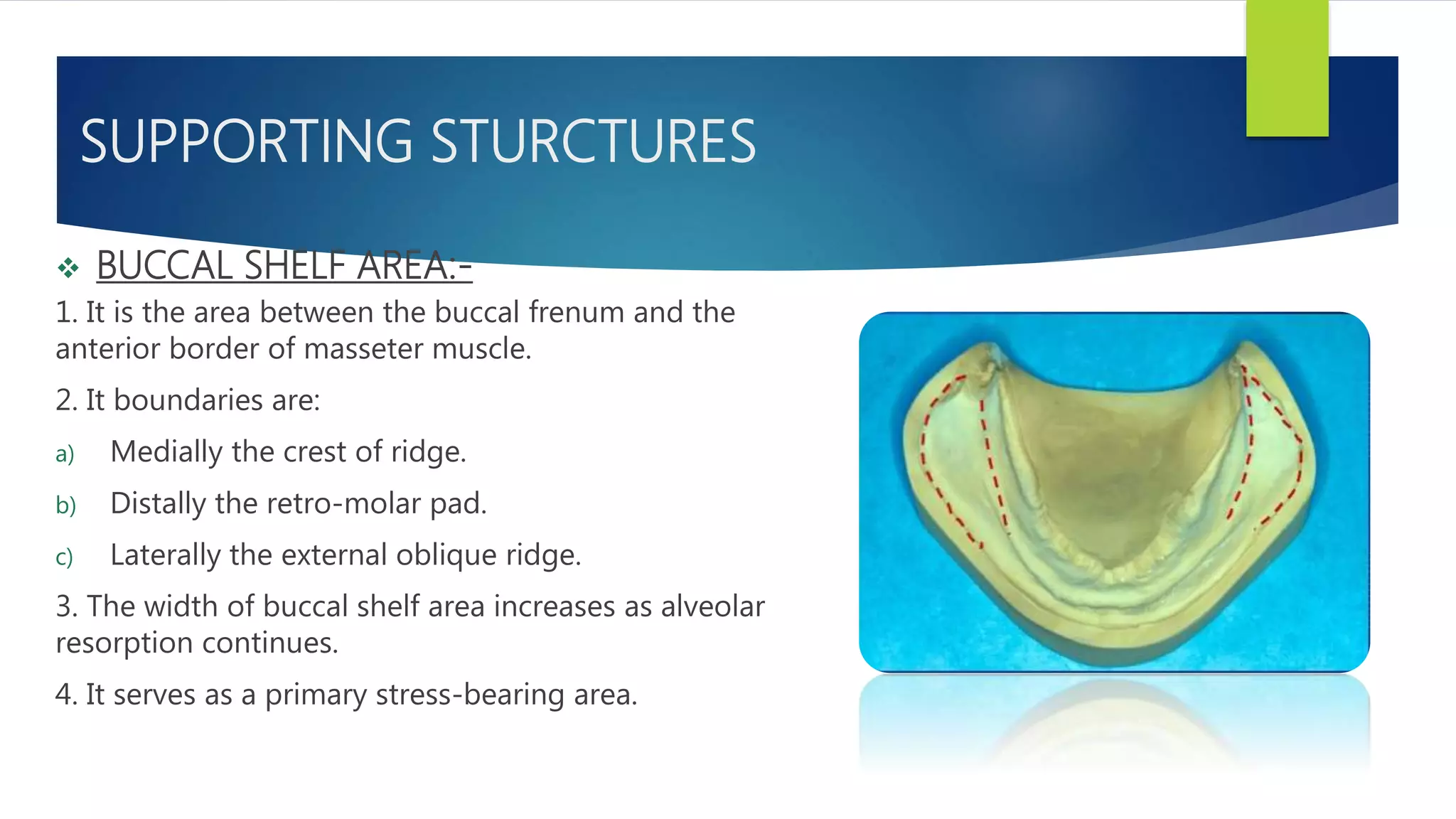 Anatomical landmarks of edentulous mandibular arch ppt (prosthodontics ...