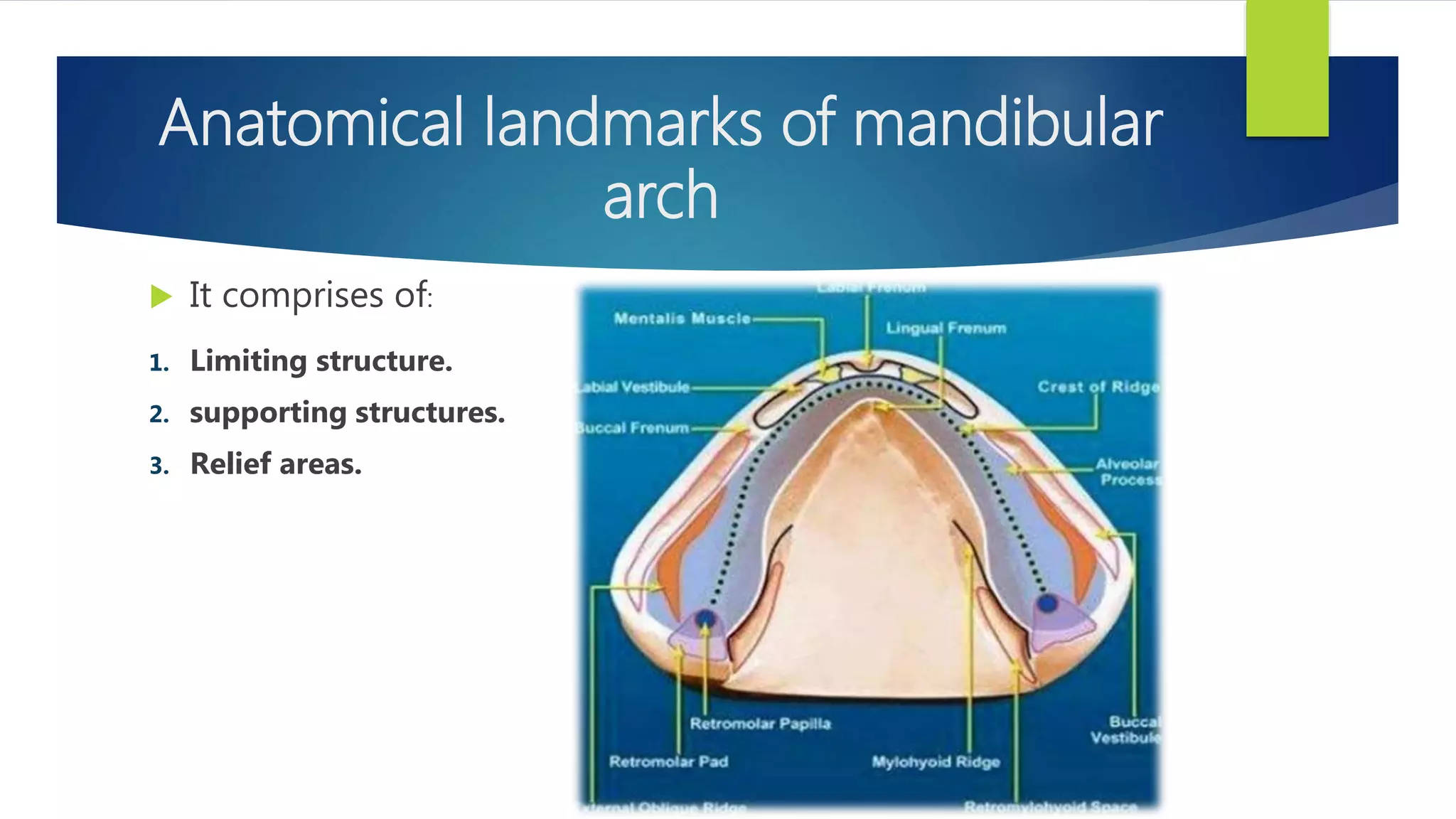 Anatomical landmarks of edentulous mandibular arch ppt (prosthodontics) easily understood | PPTX