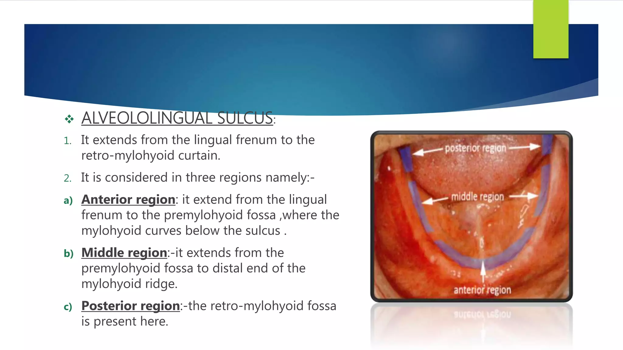Anatomical landmarks of edentulous mandibular arch ppt (prosthodontics ...