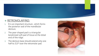 Anatomical landmarks of edentulous mandibular arch ppt (prosthodontics ...