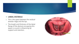 Anatomical landmarks of edentulous mandibular arch ppt (prosthodontics ...