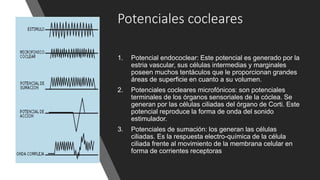 Oido interno | PPTX