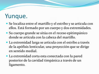 Anatomia de Oído | PPTX