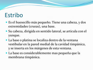 Anatomia de Oído | PPTX