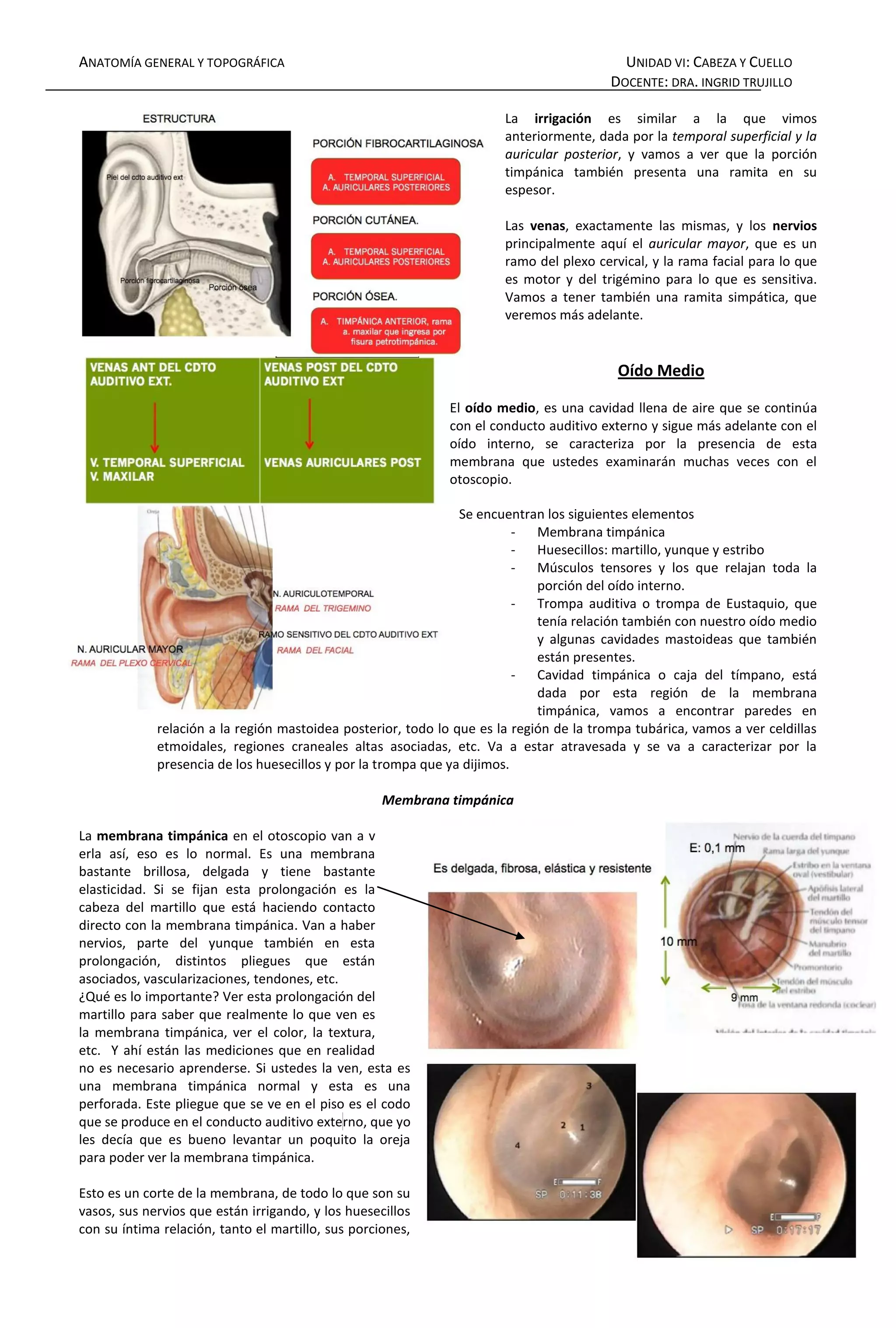 Oido y fosas nasales | PDF
