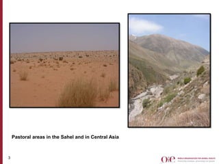 Pastoralism and Animal Health – Challenges | PPTX
