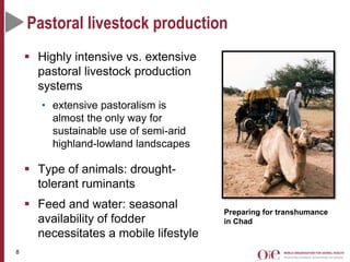 Pastoralism and Animal Health – Challenges | PPTX