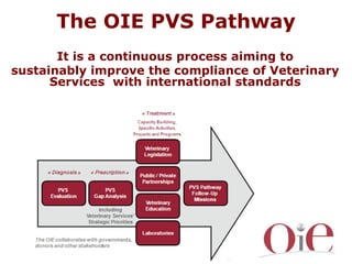 The PVS Evaluation and convergence PVS-PCP | PDF