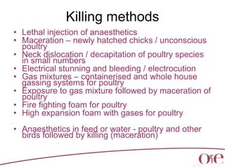 OIE animal welfare killing of poultry for disease control | PPT