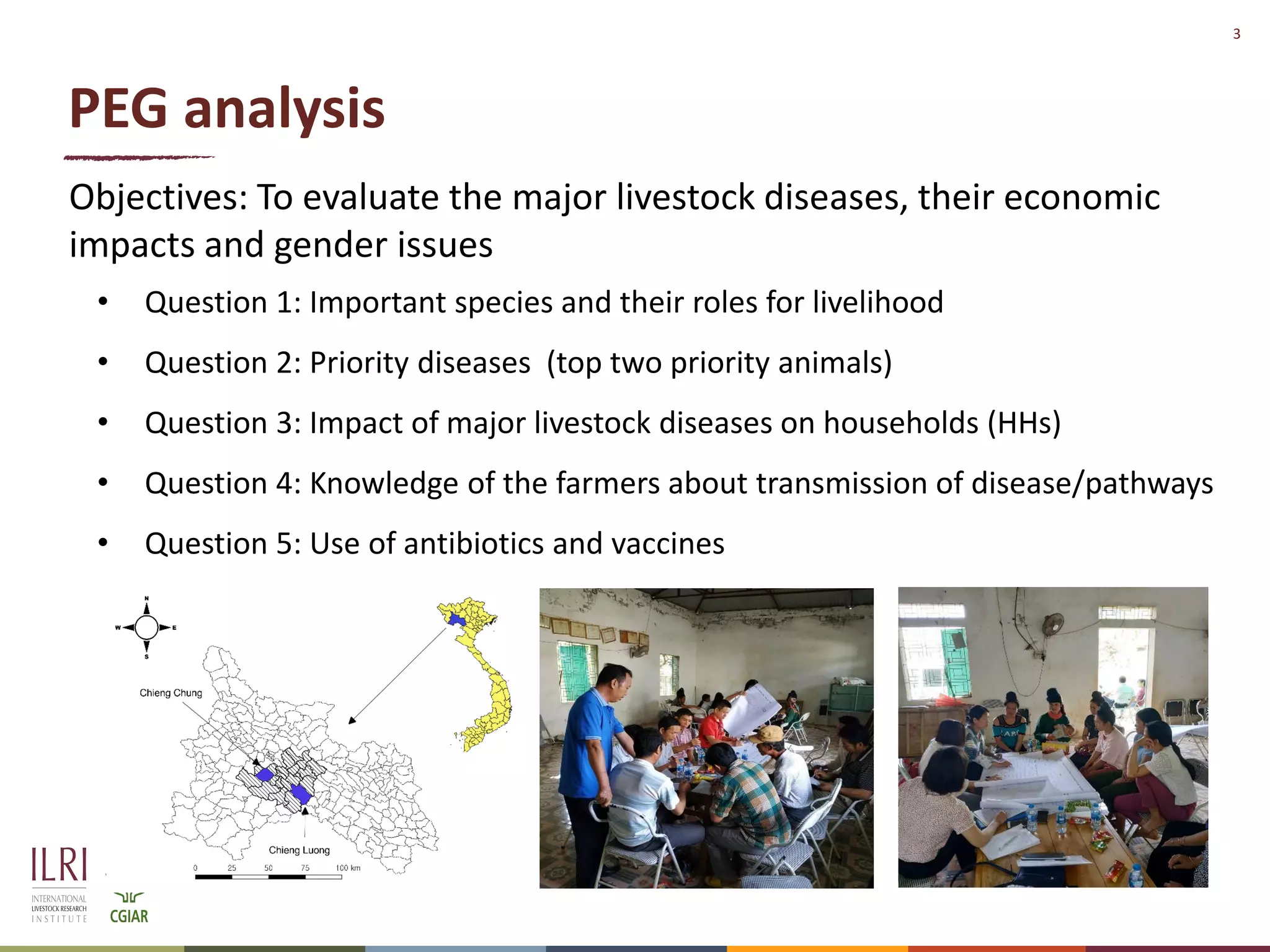 Field application of biosecurity measures at small-scale farmer level | PDF