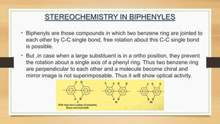 Spiranes_sem_2 | PPTX