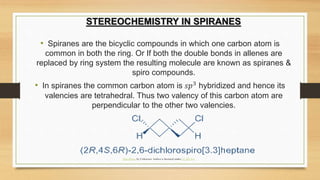 Spiranes_sem_2 | PPTX