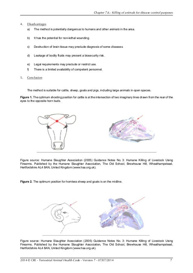 Code Terrestre Oie – New Terrestrial Codes available for download in ...