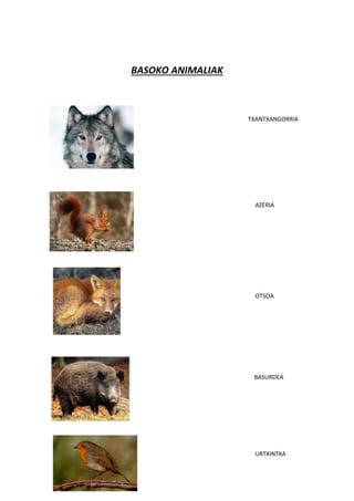 ARGAZKIAK ETA ANIMALIAREN IZENAK LOTU | PDF