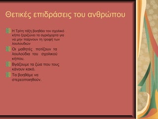 Oikosysthma | PPT