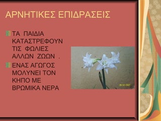 Oikosysthma | PPT | Free Download