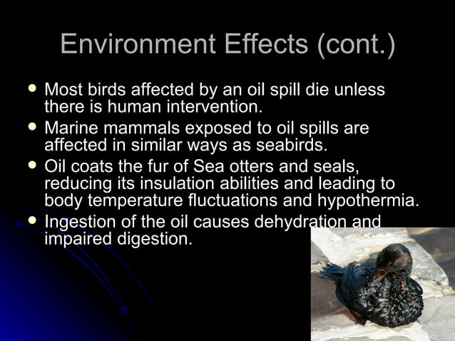 Oil Spill | PPT