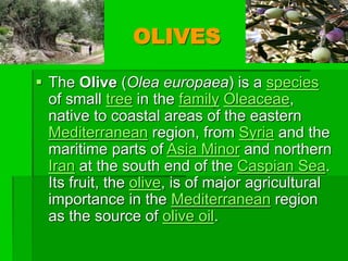 Oil and Fat Technology Lectures I (Classification) | PPT