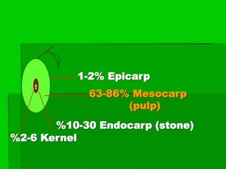 Oil and Fat Technology Lectures I (Classification) | PPT