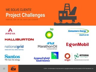 Oil and Gas Project Management Training Solutions | PDF