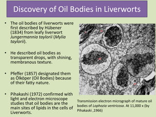 Oil bodies and their relative importance in the systematics of ...