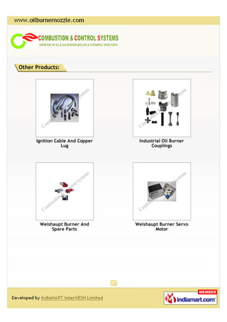 Combustion & Control Systems, Mumbai | PDF