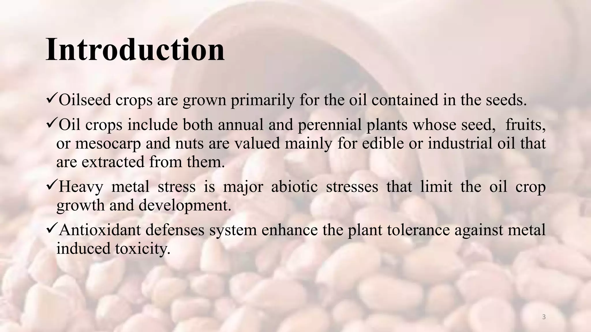 Oil crop cultivation & value addition process in jaffna | PPTX