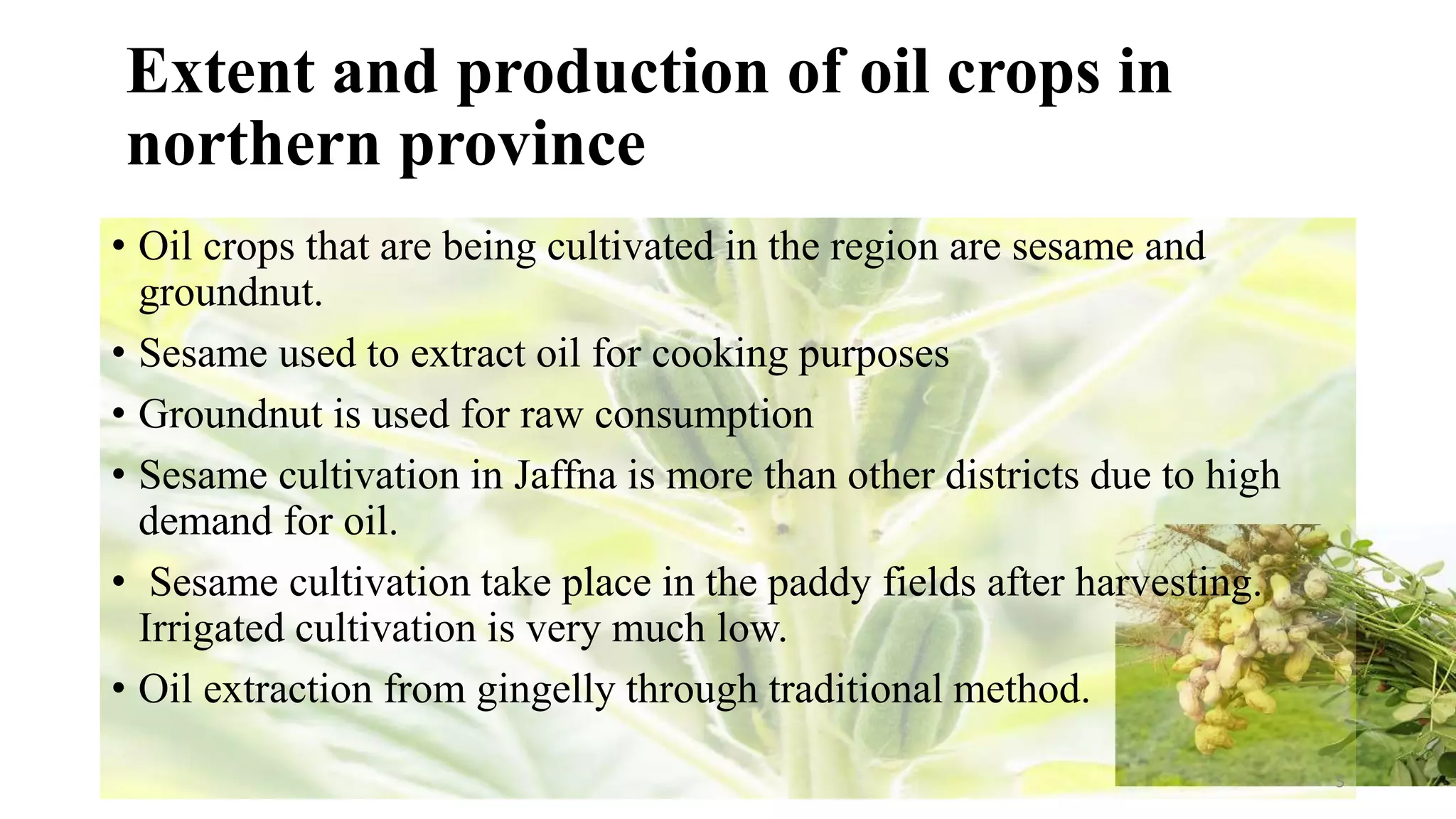 Oil crop cultivation & value addition process in jaffna | PPTX