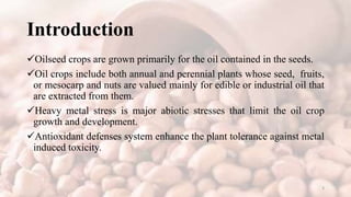 Oil crop cultivation & value addition process in jaffna | PPT